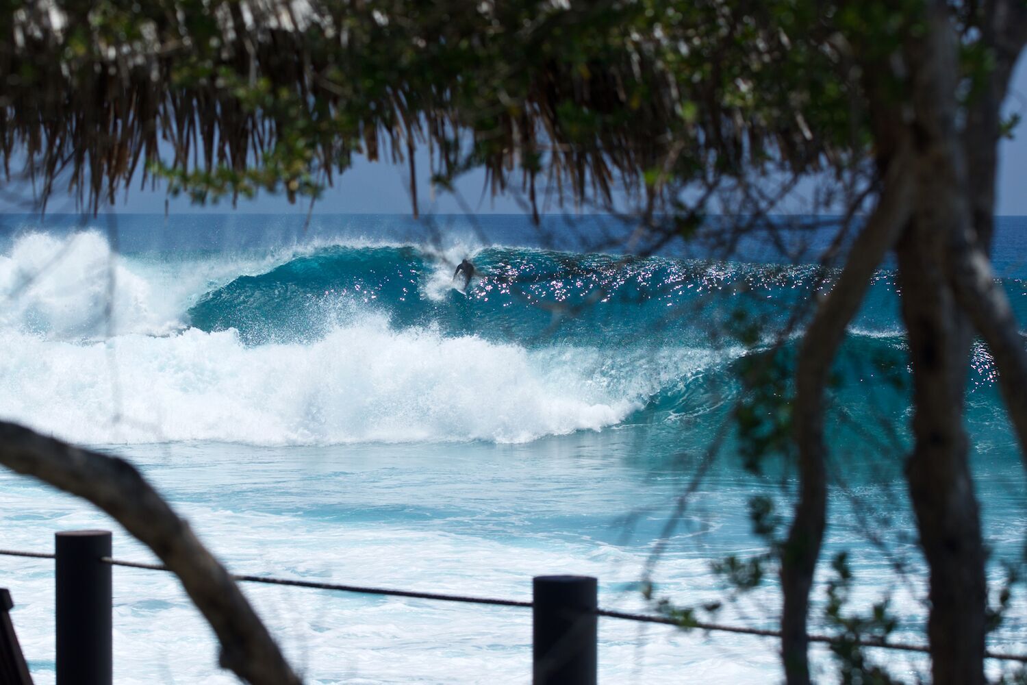 Lohis Surf Report Early Season March April 2018 | The Perfect Wave