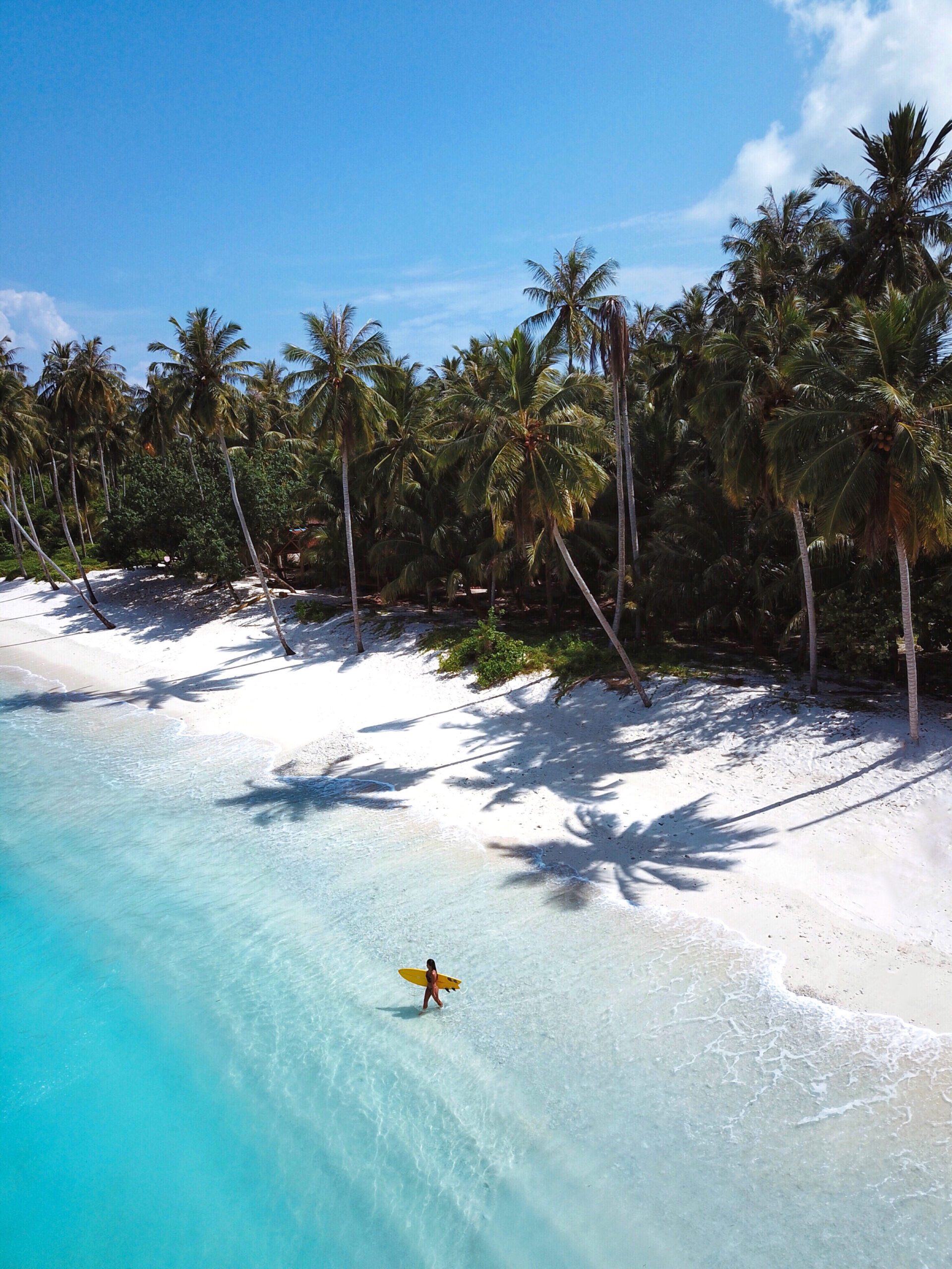 Hollow Trees Resort | Mentawai Surf Resort | Perfect Wave Travel