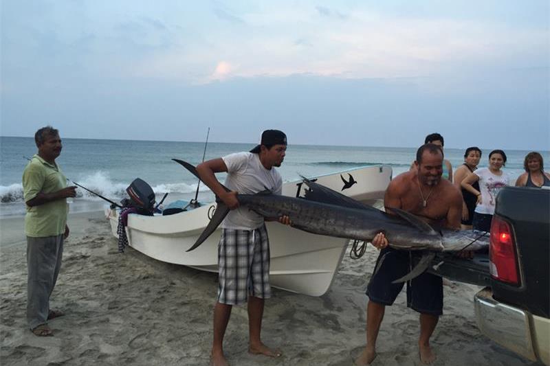 Punta Conejo Resort | Mexico Surf Vacation | Perfect Wave Travel