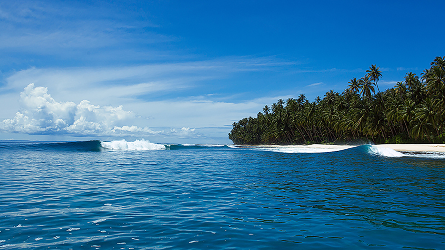 Telo Island Lodge | Indonesia Surf Resort | Perfect Wave Travel