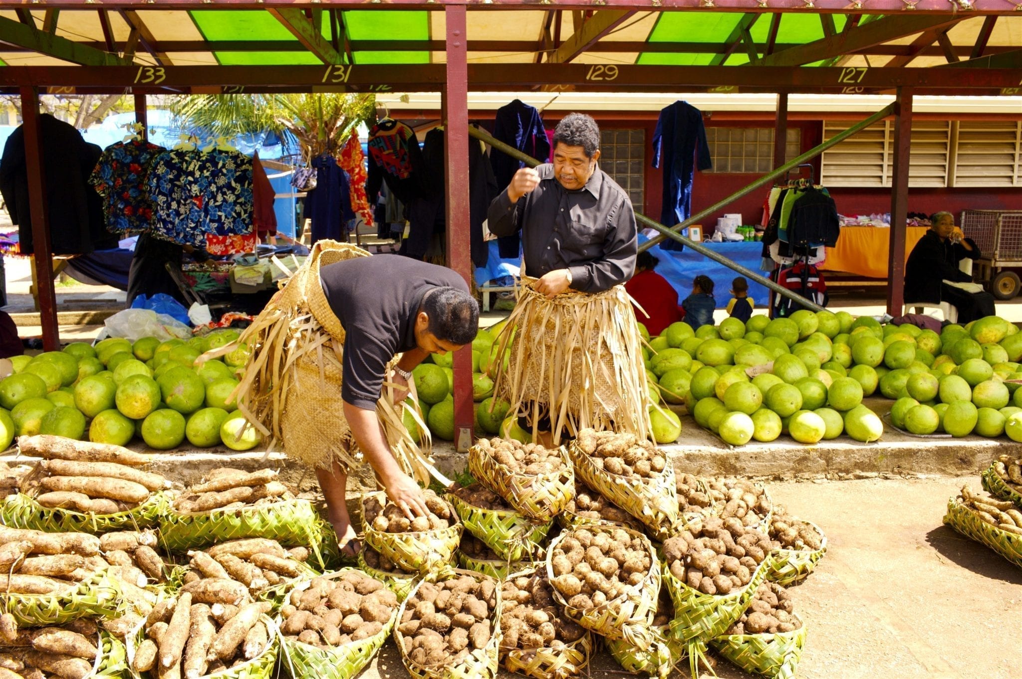 Tonga Surf Travel Guide | Perfect Wave Travel