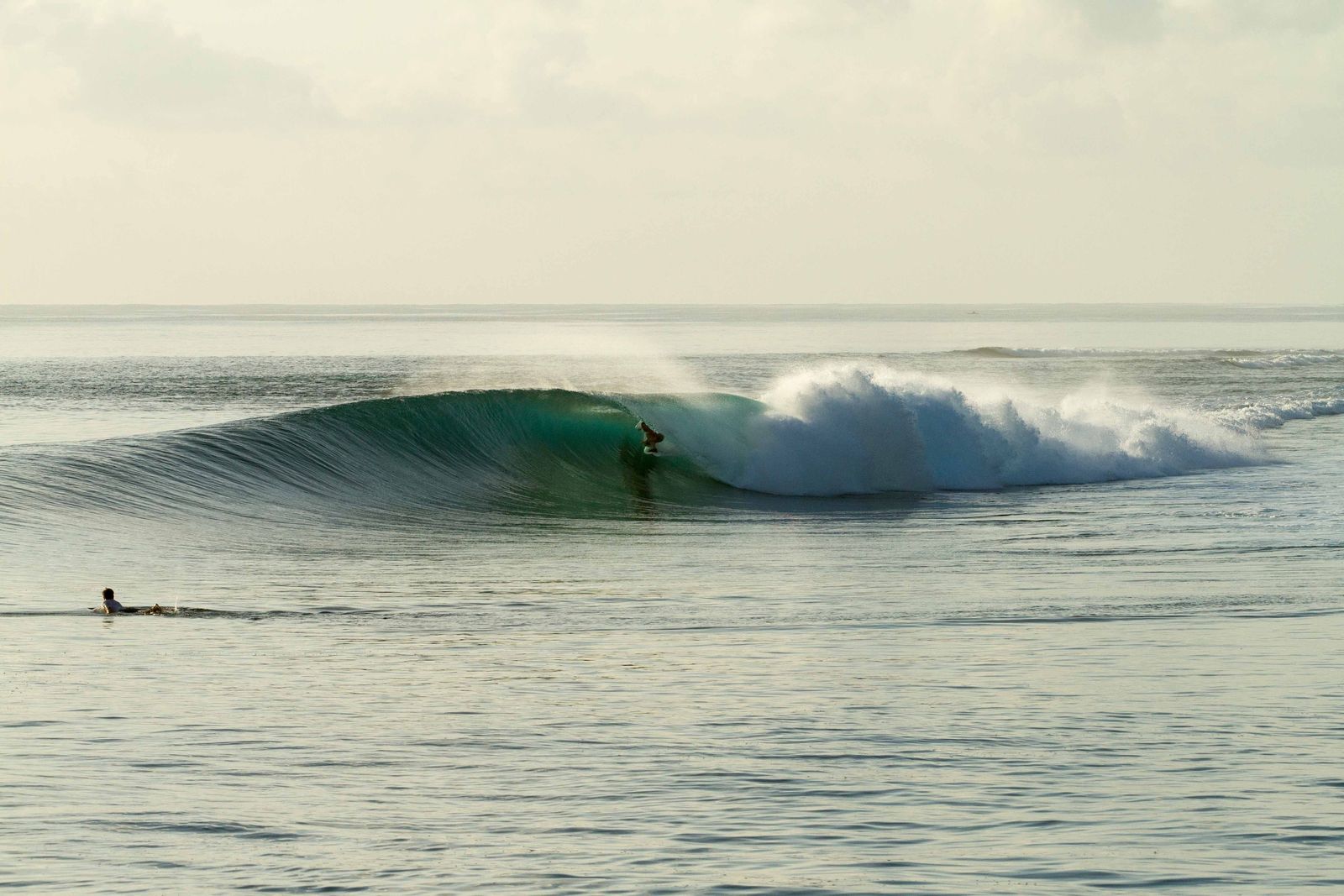 Hollow Trees Resort | Mentawai Surf Resort | Perfect Wave Travel