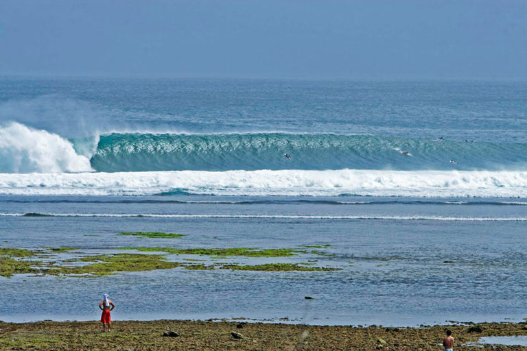 Java Surf Travel Guide | Perfect Wave Travel