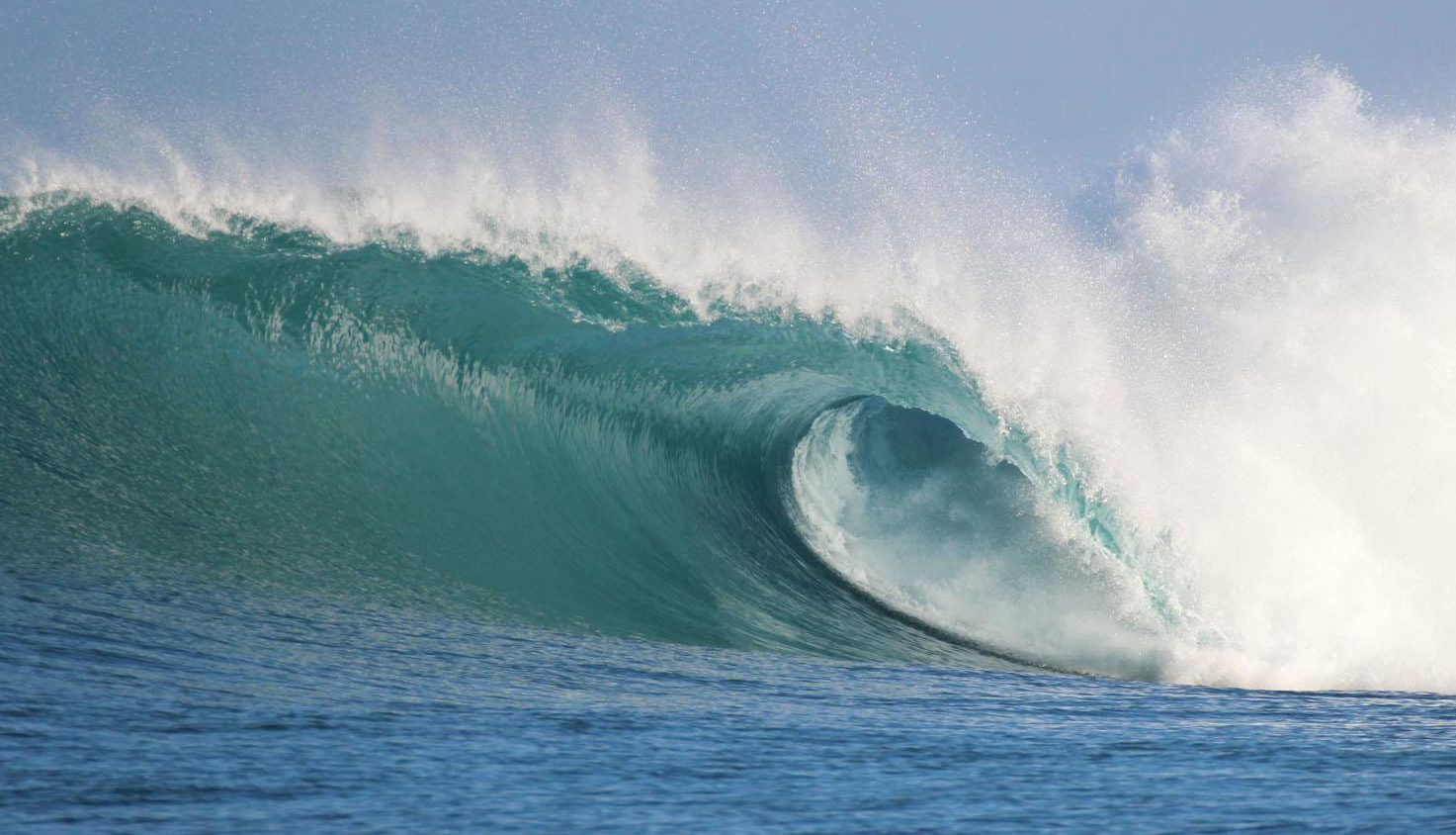 Welcoming T-Land Resort, Rote, to The Perfect Wave family