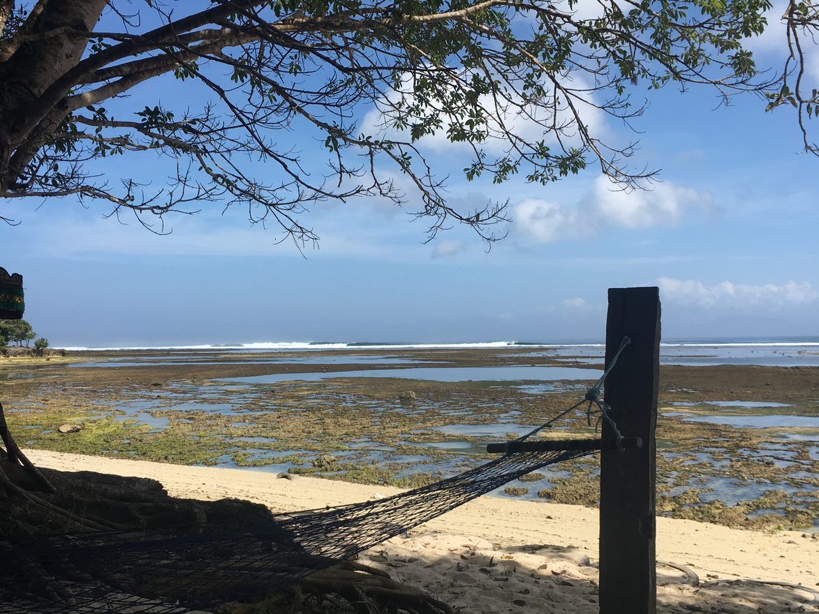 Bobby's G-Land | East Java Surf Trip | Perfect Wave Travel