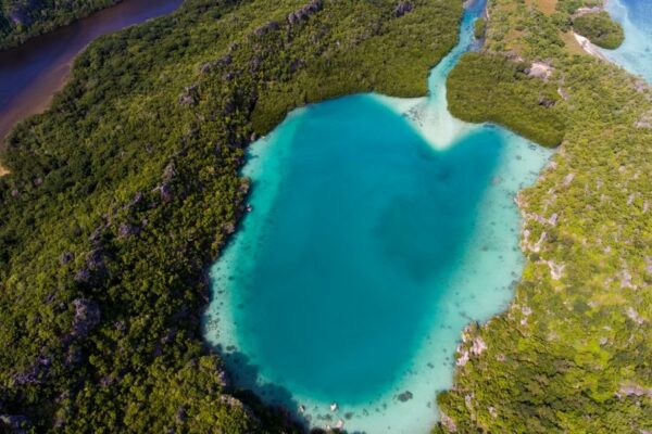 Rote and Timor Surf Travel Guide | Perfect Wave Travel