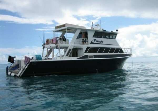Pelagic | Mentawai Surf Charter | Perfect Wave Travel