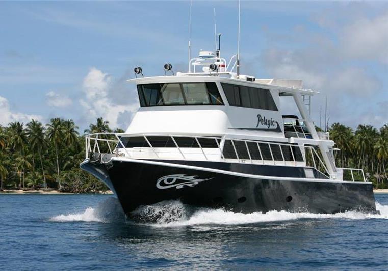 Offers: Surf Charters - Perfect Wave Travel