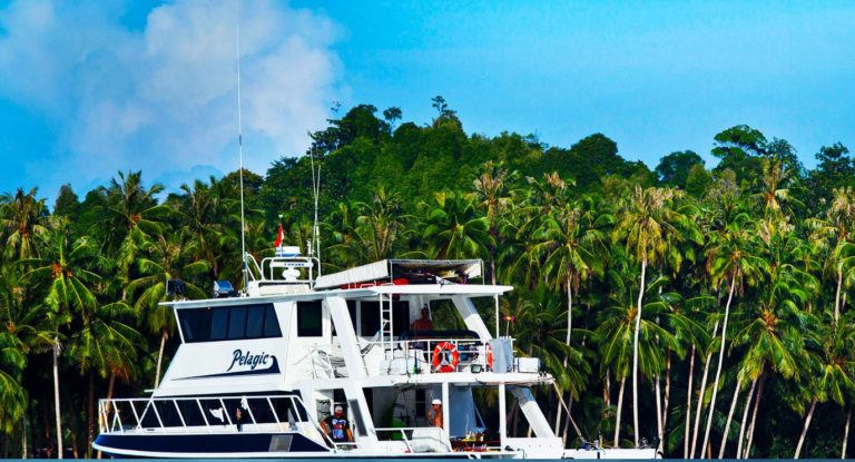 Pelagic | Mentawai Surf Charter | Perfect Wave Travel