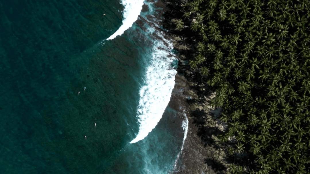 What's Doing at Kandui Villas, Mentawai During Lockdown?