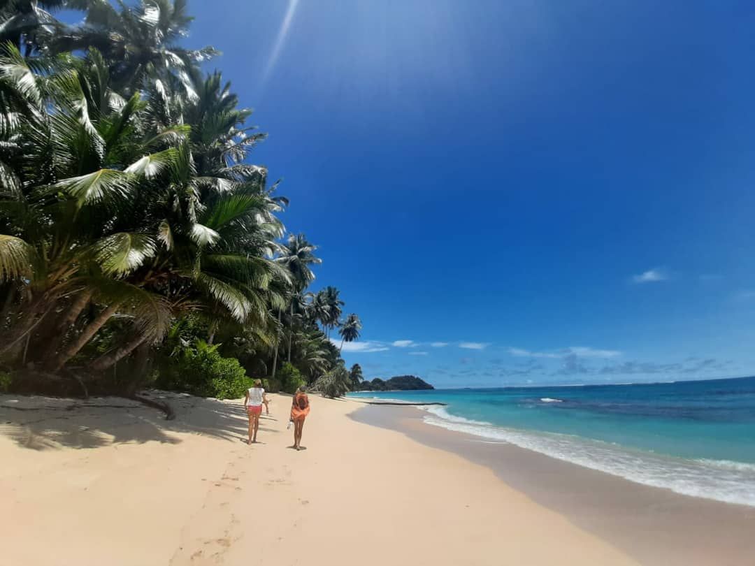 Mentawai Insane Waves 2020 Highlights | Bilou Beach Villas | The ...