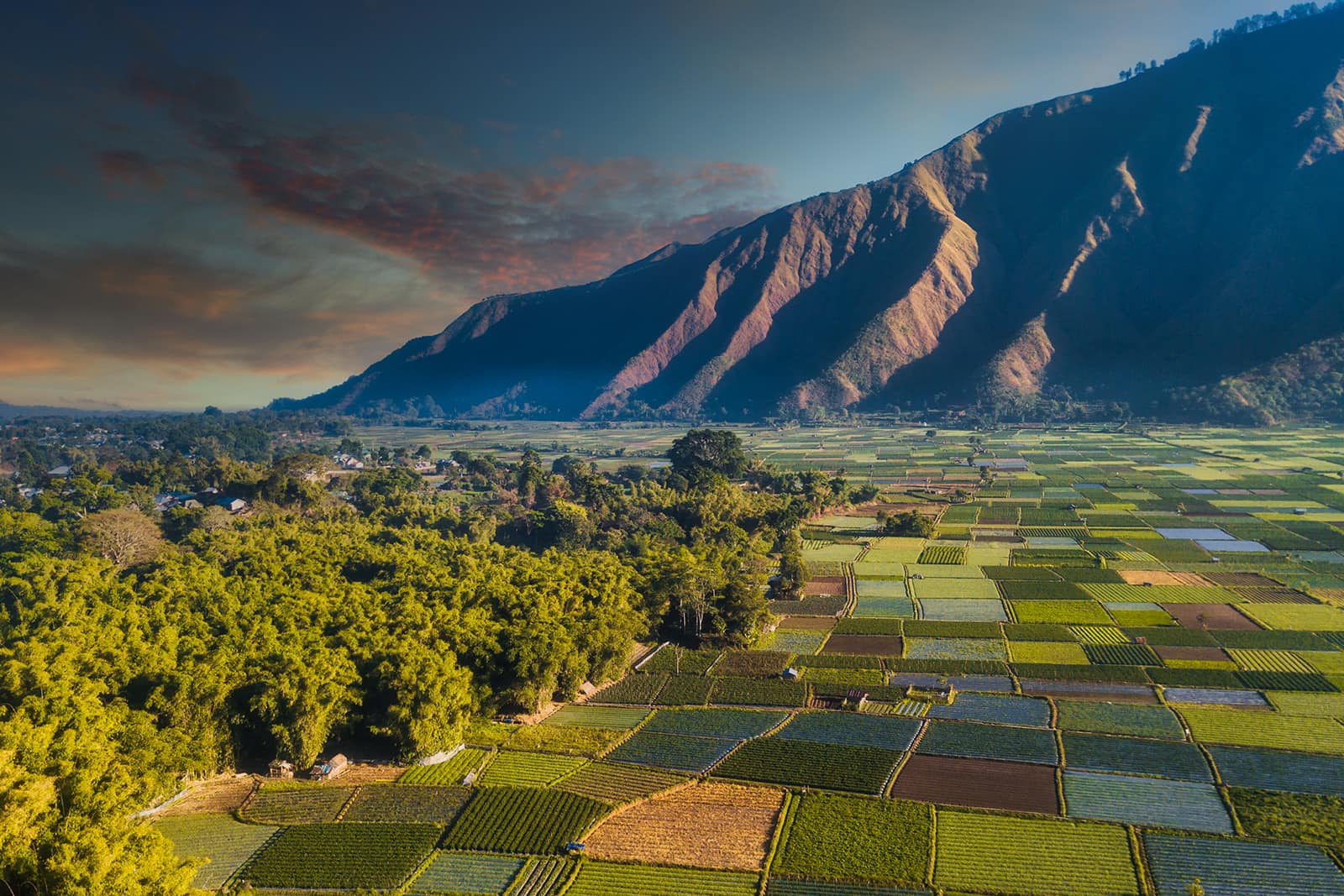 Selong Selo | Lombok Surf Resort | Perfect Wave Travel